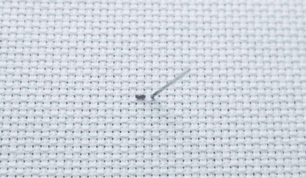 How to Back Stitch in Cross Stitch - Hailey Stitches