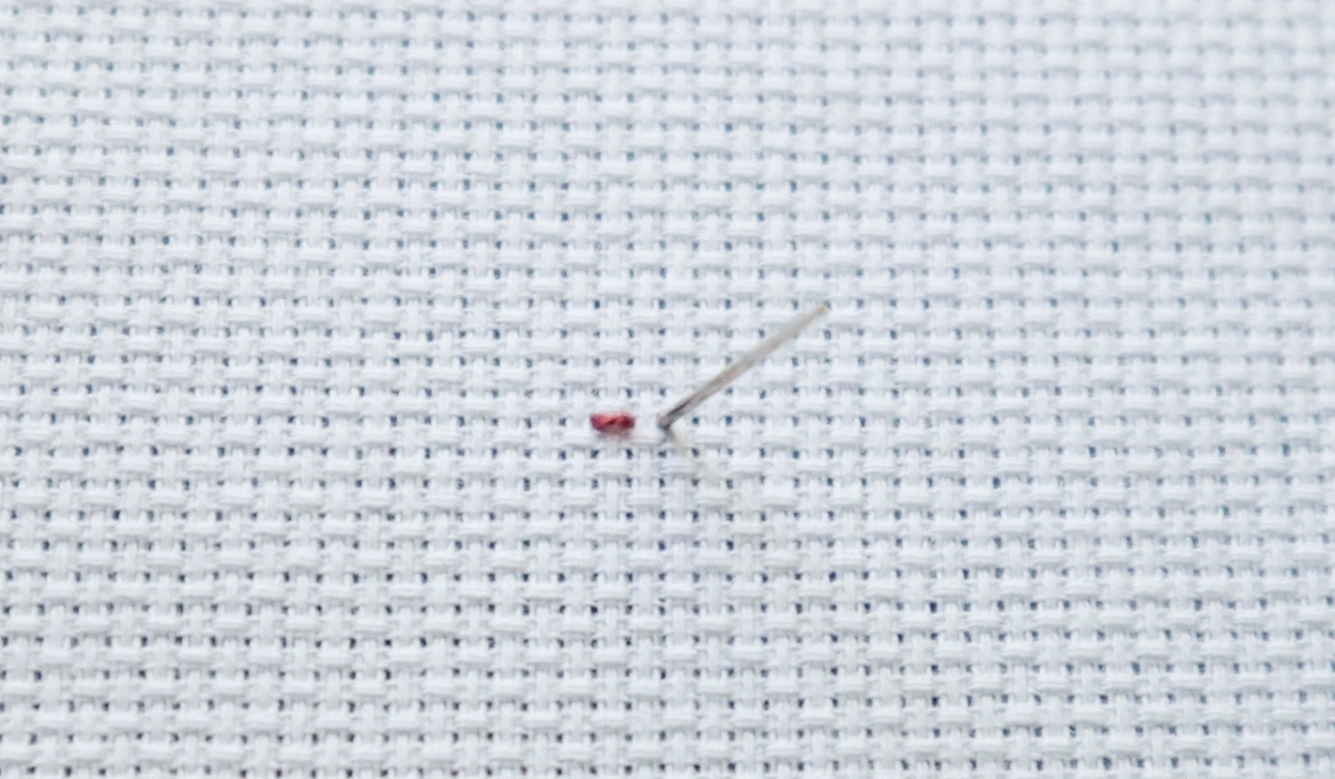 How to Back Stitch in Cross Stitch - Hailey Stitches